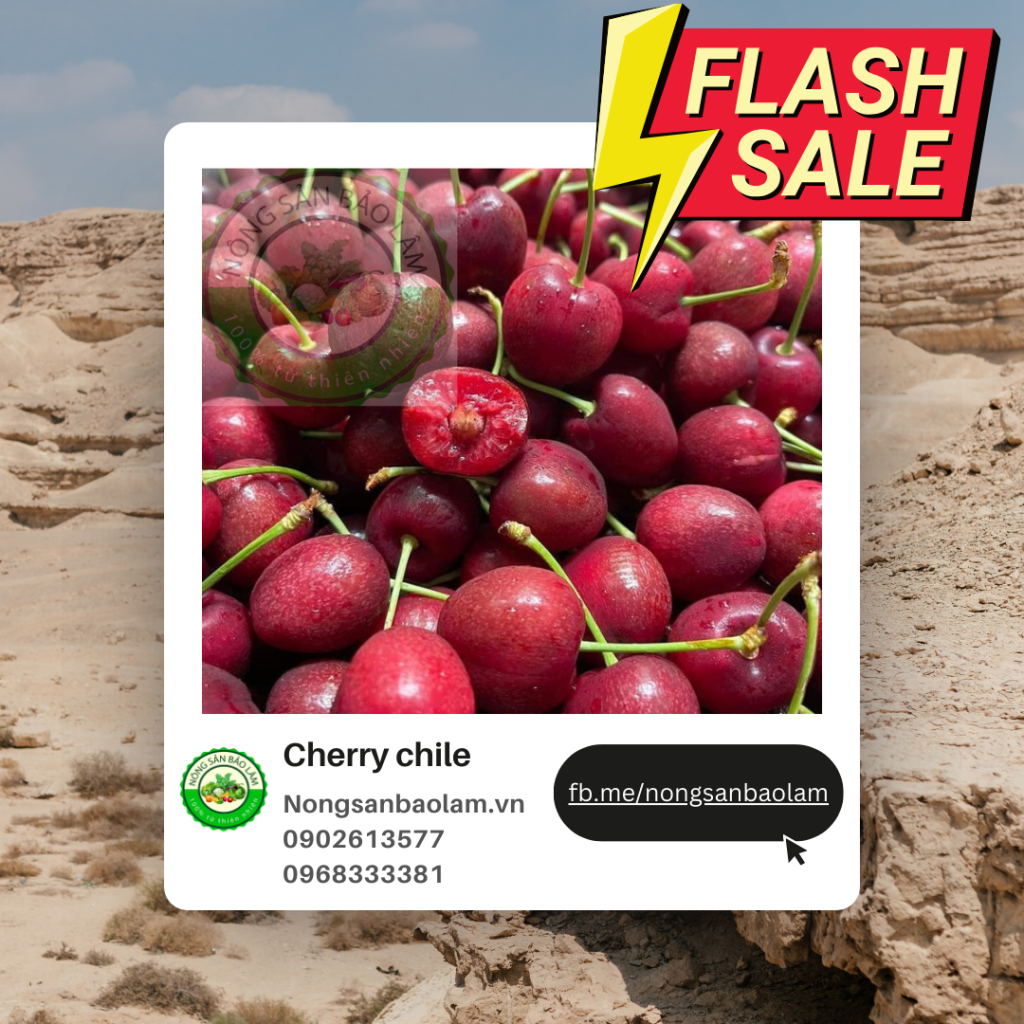 Cherry chile size to - Nông Sản Bảo Lâm